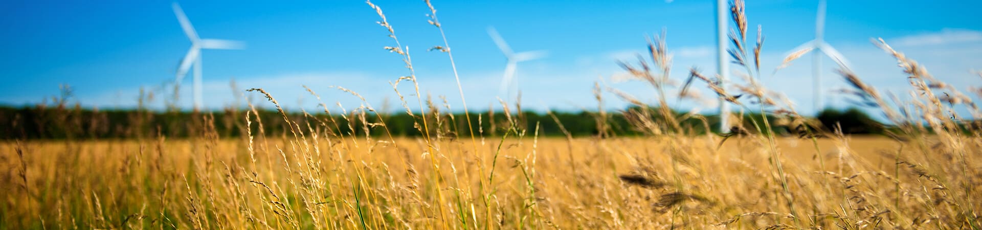 Silverthorn Renewables – Harnessing the Wind