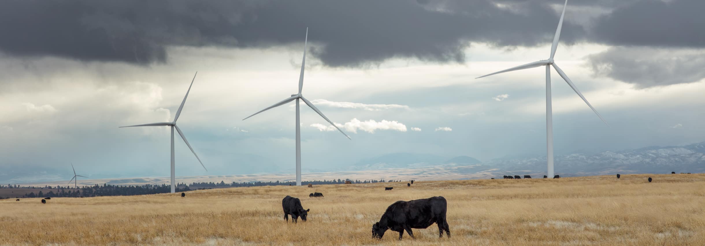 Silverthorn Renewables – Harnessing the Wind